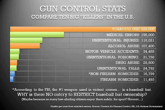 Gun Control Statistics Fbi