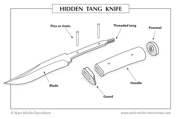 The anatomy of a kitchen knife : r/coolguides