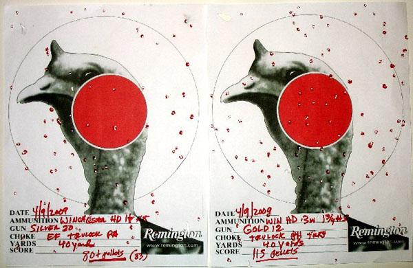 Turkey Shotgun Pattern